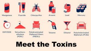 Toxins Effect Health In The Human Body | Spark Of Life Acupuncture
