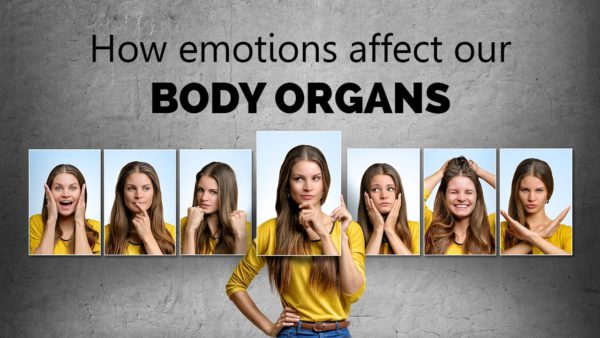Seven Emotions That Influence Health | Spark Of Life Acupuncture